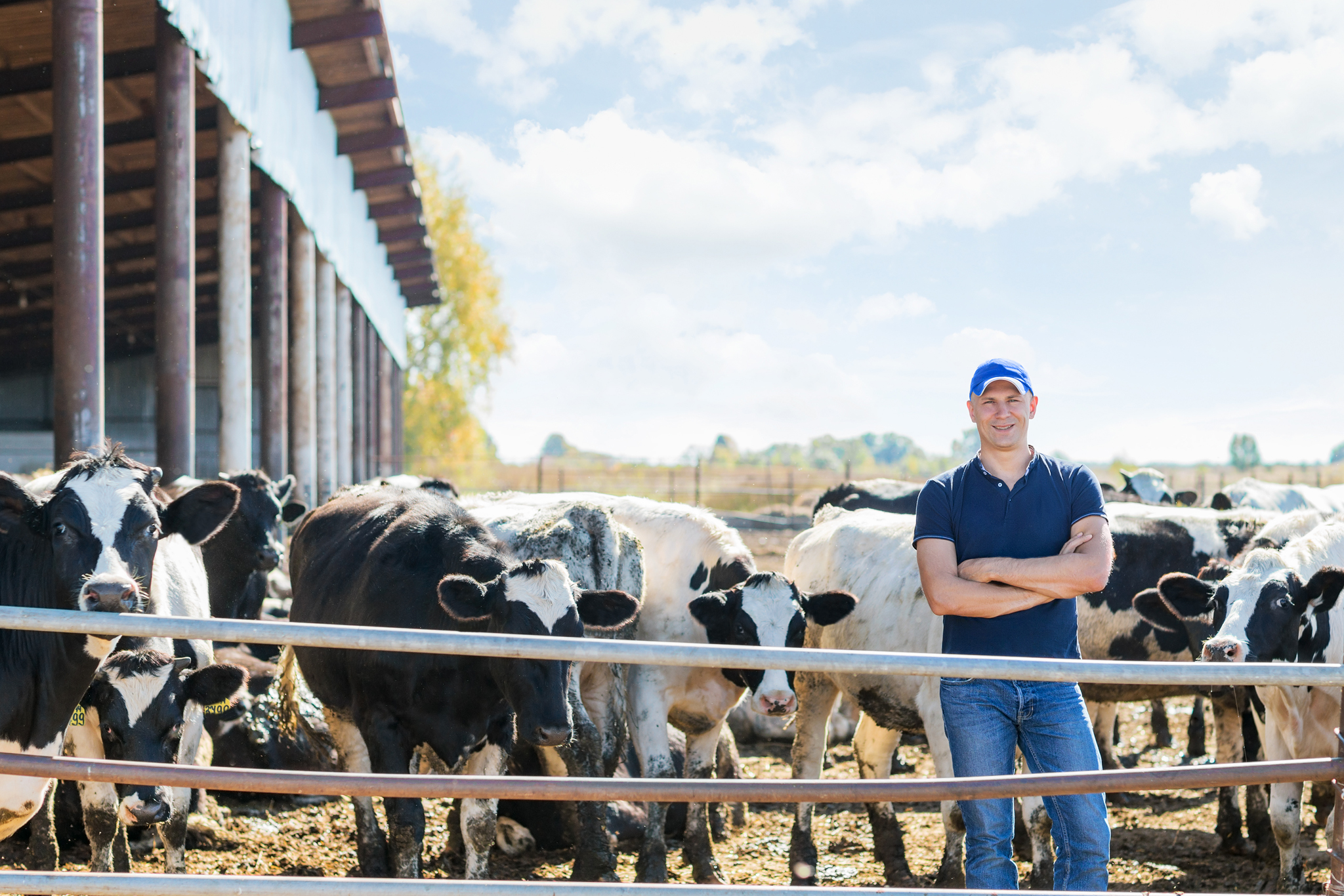 Shop - Northern Beef Producers